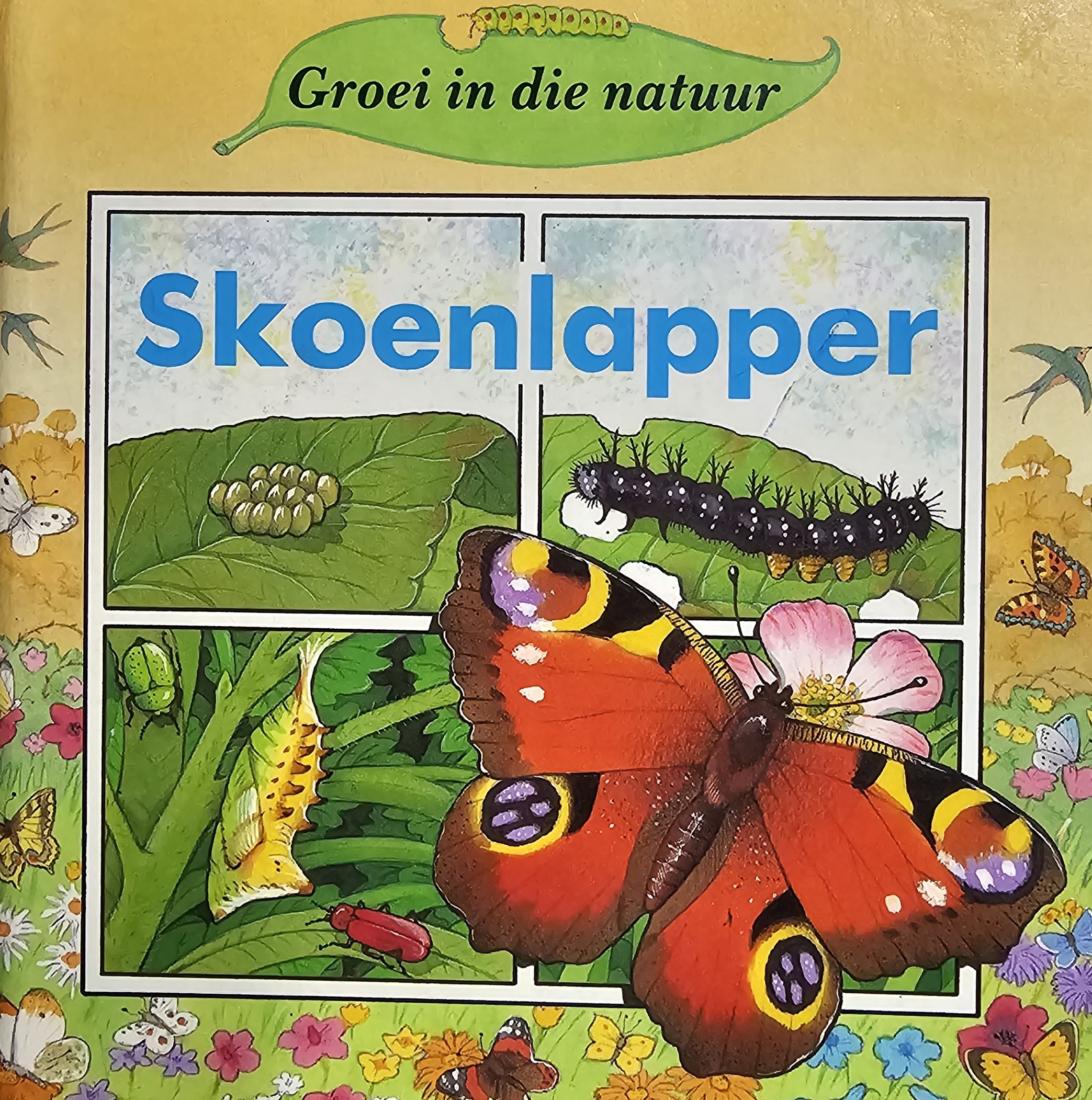 Skoenlapper (Groei in die Natuur-Boek) - Preloved Hard Cover - Buki Huki